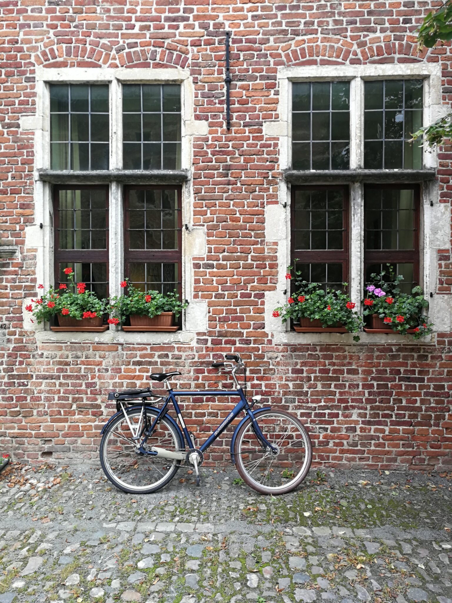 What to see in Leuven: our best tips for visiting in 1 day